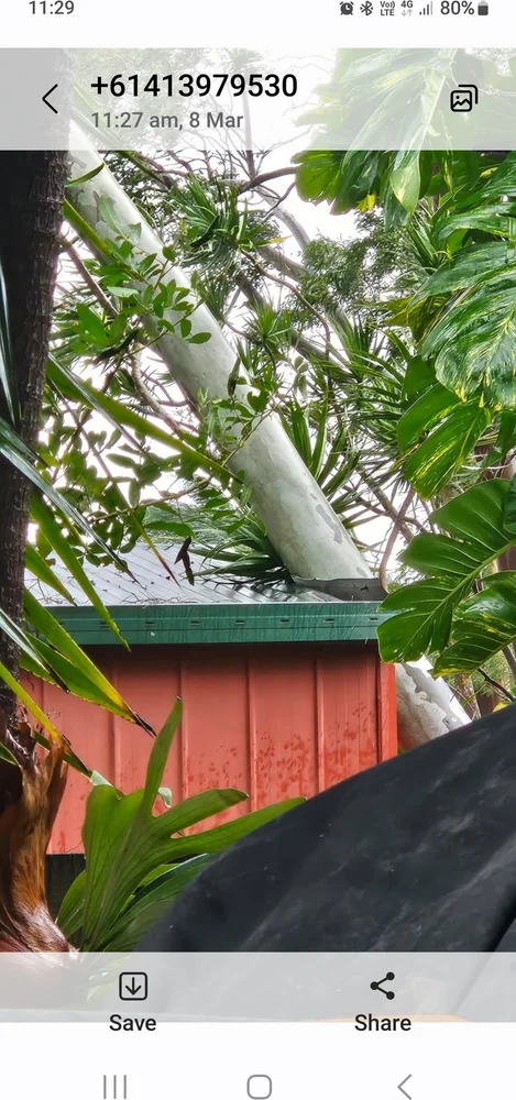 RACQ Home Insurance reviews | ProductReview.com.au