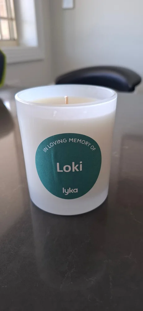 Lyka Pet Food reviews | ProductReview.com.au