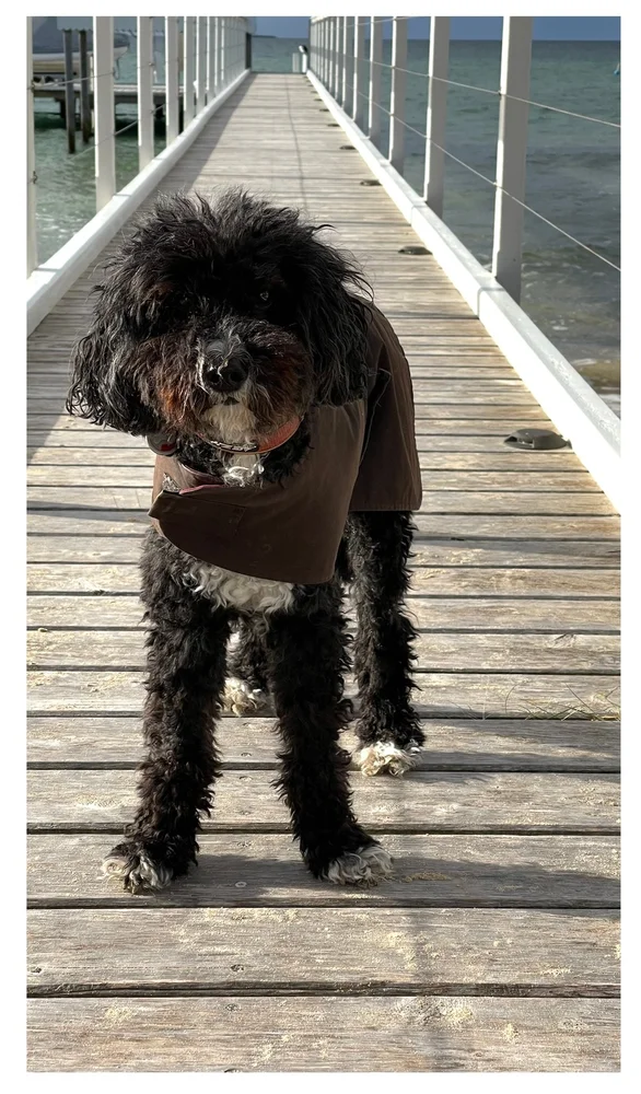 Deja Marc reviews | ProductReview.com.au