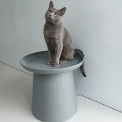 Litfad reviews | ProductReview.com.au