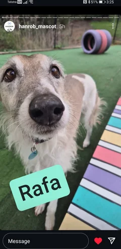 Hanrob reviews | ProductReview.com.au