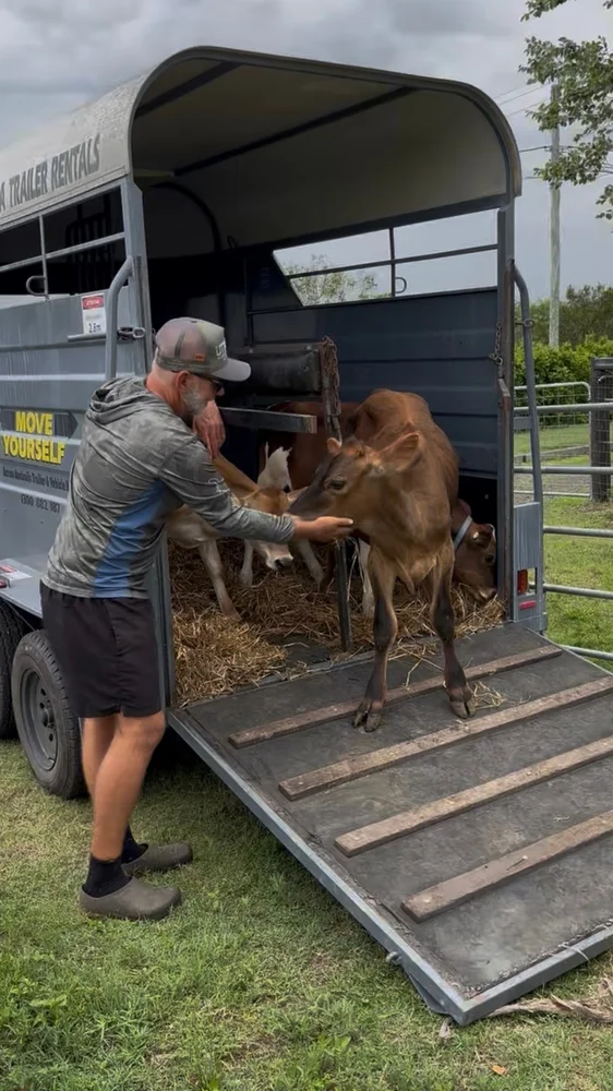 Move Yourself Trailer Hire reviews | ProductReview.com.au