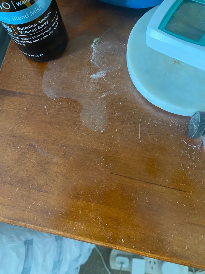 Absolute Domestics reviews | ProductReview.com.au