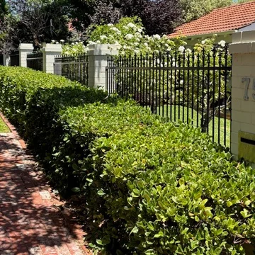 Stratco reviews | ProductReview.com.au