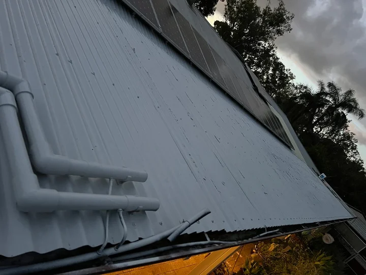 ALDI Ferrex Airless Paint Sprayer 1000W reviews | ProductReview.com.au