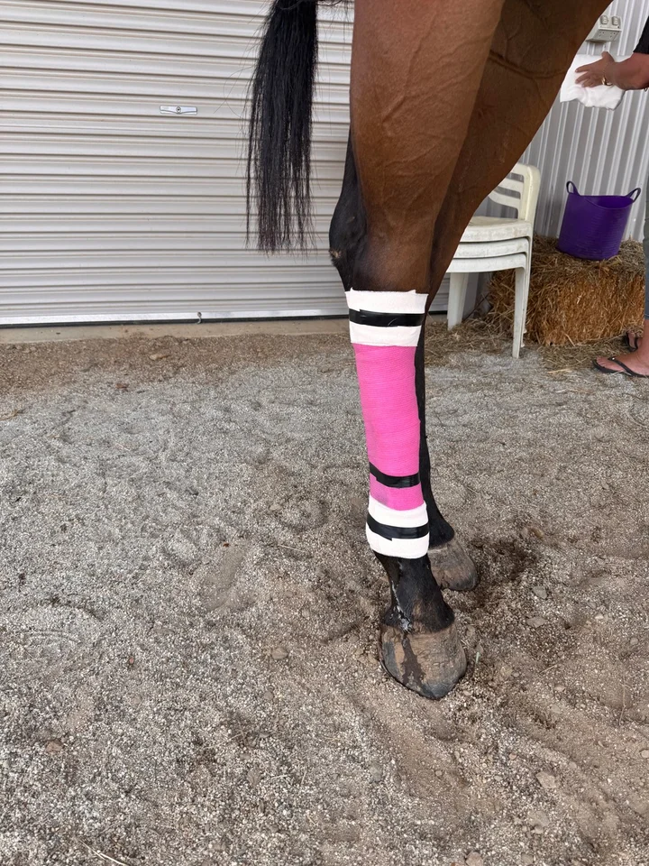 The Vet Shed reviews | ProductReview.com.au