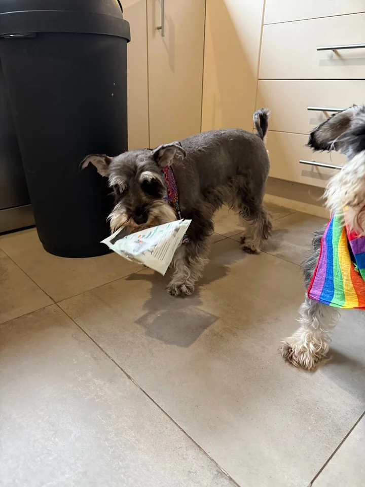 Lyka Pet Food reviews | ProductReview.com.au
