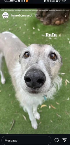 Hanrob reviews | ProductReview.com.au