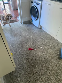 Absolute Domestics reviews | ProductReview.com.au