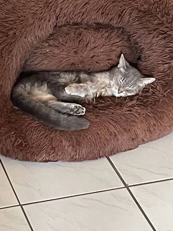 The Vet Shed reviews | ProductReview.com.au