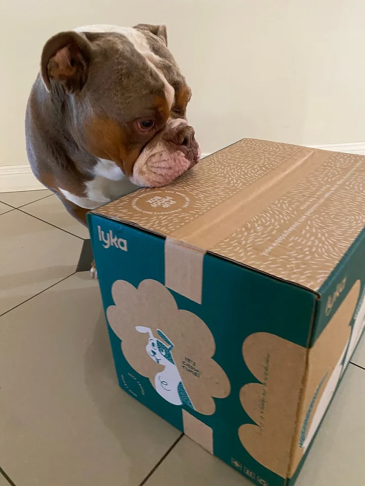 Lyka Pet Food reviews | ProductReview.com.au
