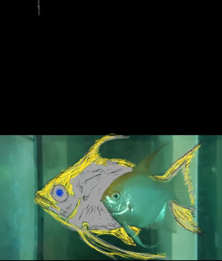 HBF Health Insurance reviews | ProductReview.com.au