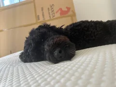 Tamaruke reviews | ProductReview.com.au