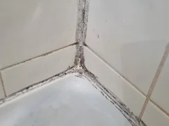 Glassguard Miracle Mould Removal Gel reviews | ProductReview.com.au