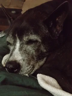 Roundhouse Provisions Morning Kick reviews | ProductReview.com.au