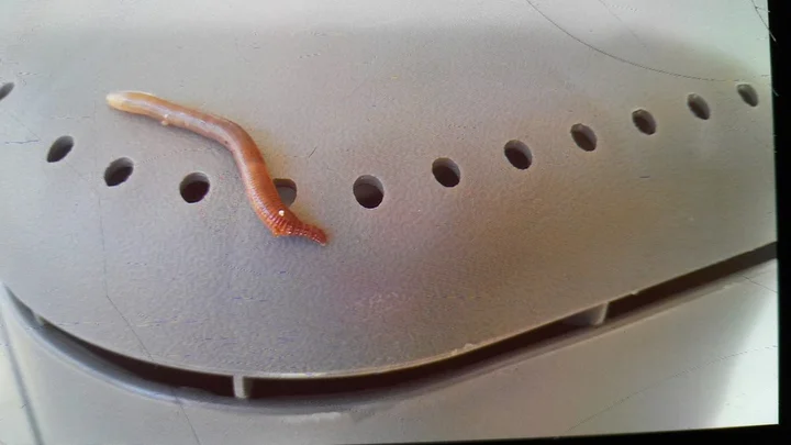 ALDI Gardenline Worm Farm reviews | ProductReview.com.au