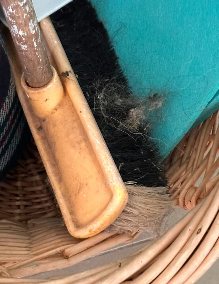 Stayz reviews | ProductReview.com.au