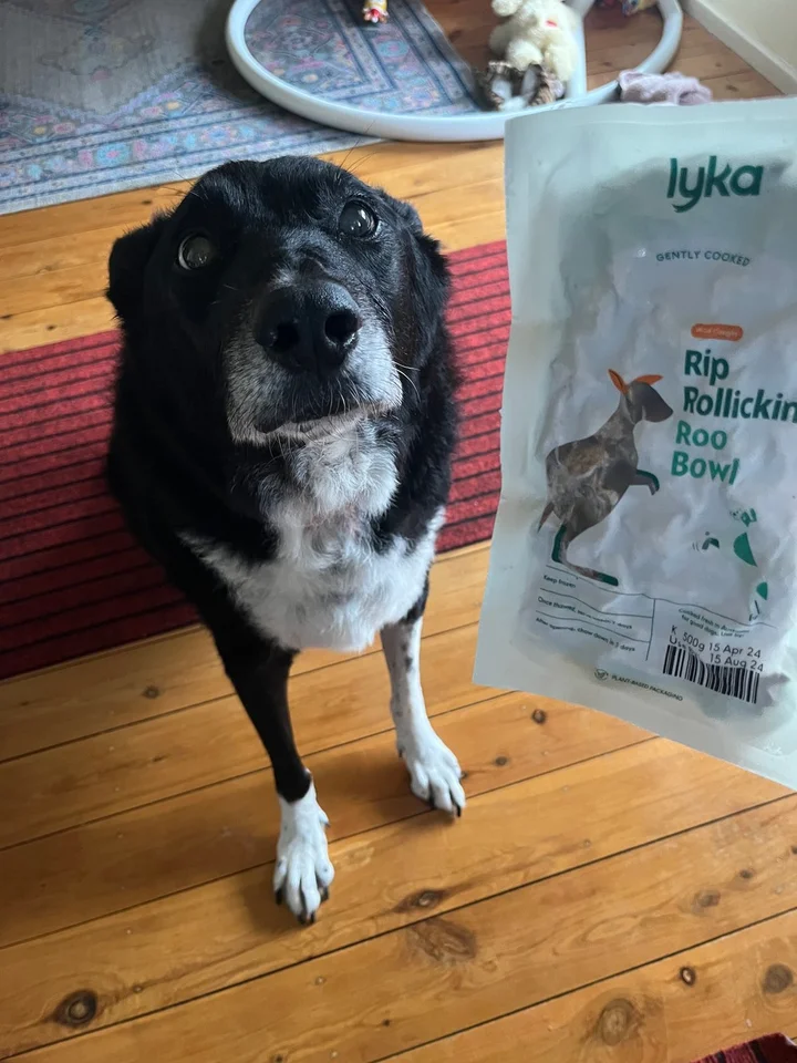 Lyka Pet Food reviews | ProductReview.com.au