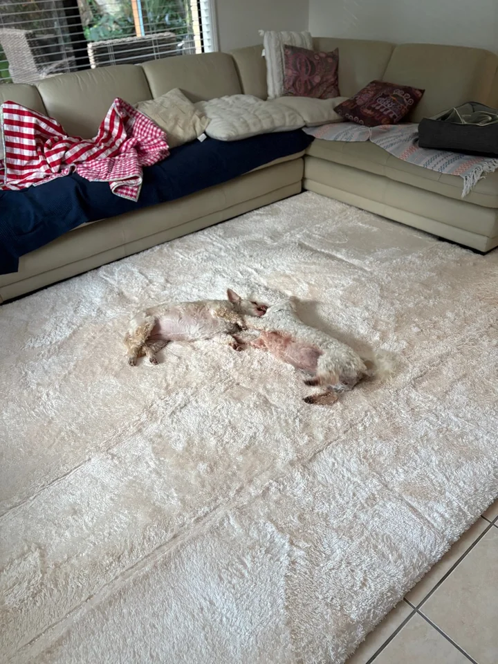 Muscle Mat Relax Mat - Soft Touch Tatami Rug reviews | ProductReview.com.au