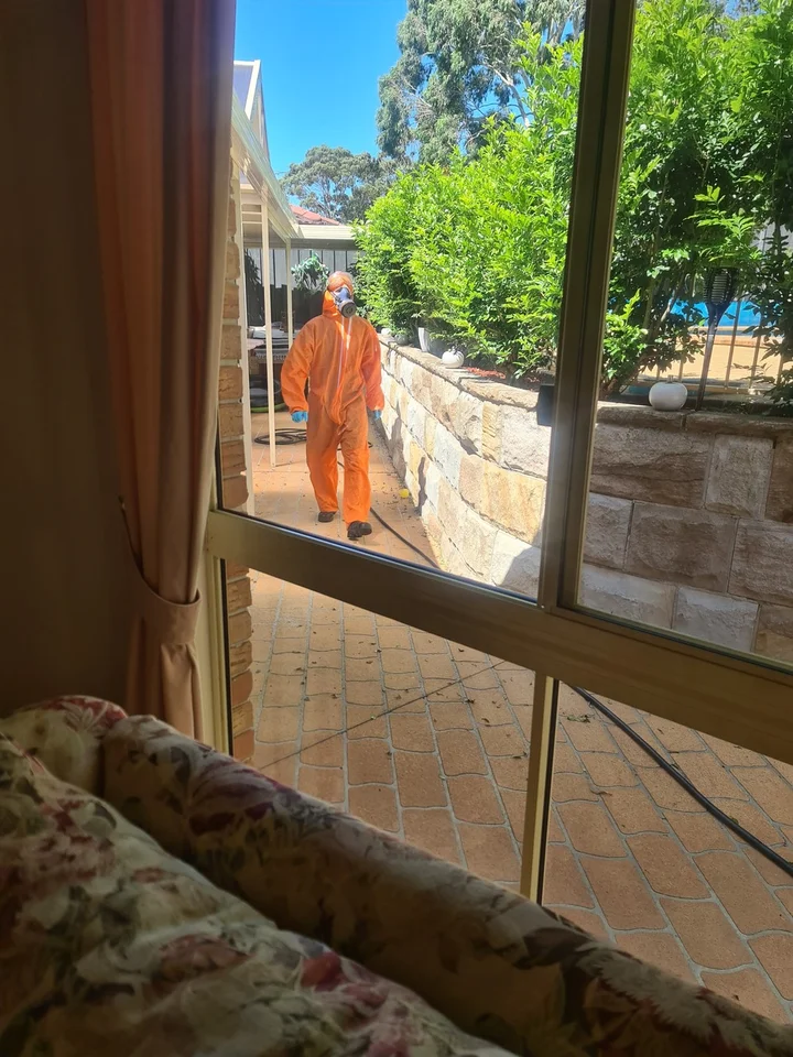 Bug Free Pest Control reviews | ProductReview.com.au