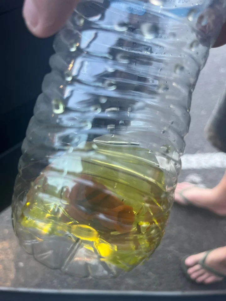 Northbrook Natural Australian Spring Water reviews | ProductReview.com.au