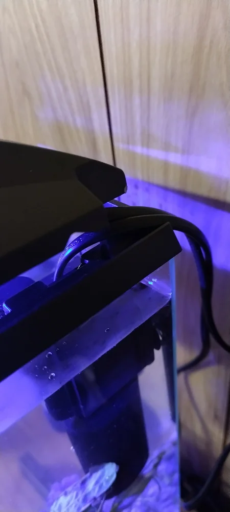 Kmart Anko 12L Betta Fish Tank reviews | ProductReview.com.au