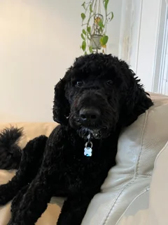 Tamaruke reviews | ProductReview.com.au