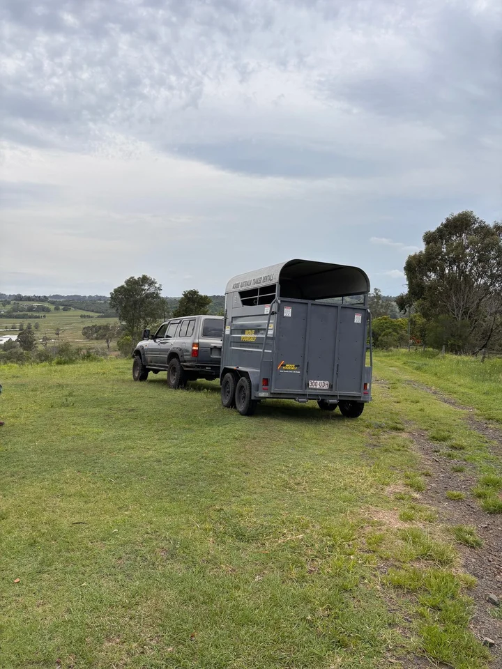 Move Yourself Trailer Hire reviews | ProductReview.com.au