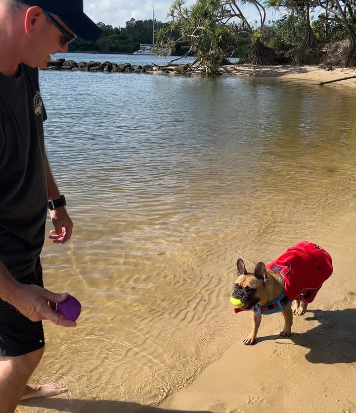 Kurgo reviews | ProductReview.com.au