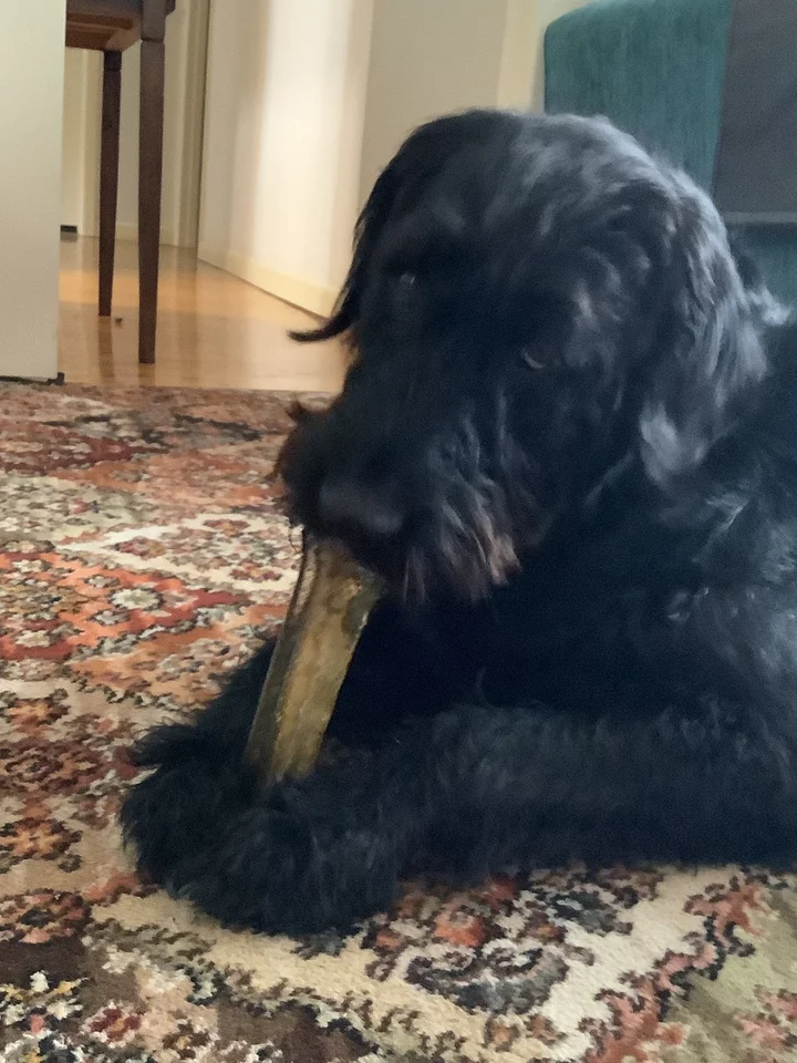 Marrowz Beef Chews reviews | ProductReview.com.au