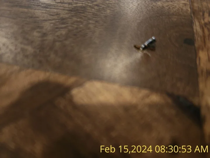 Domayne reviews | ProductReview.com.au