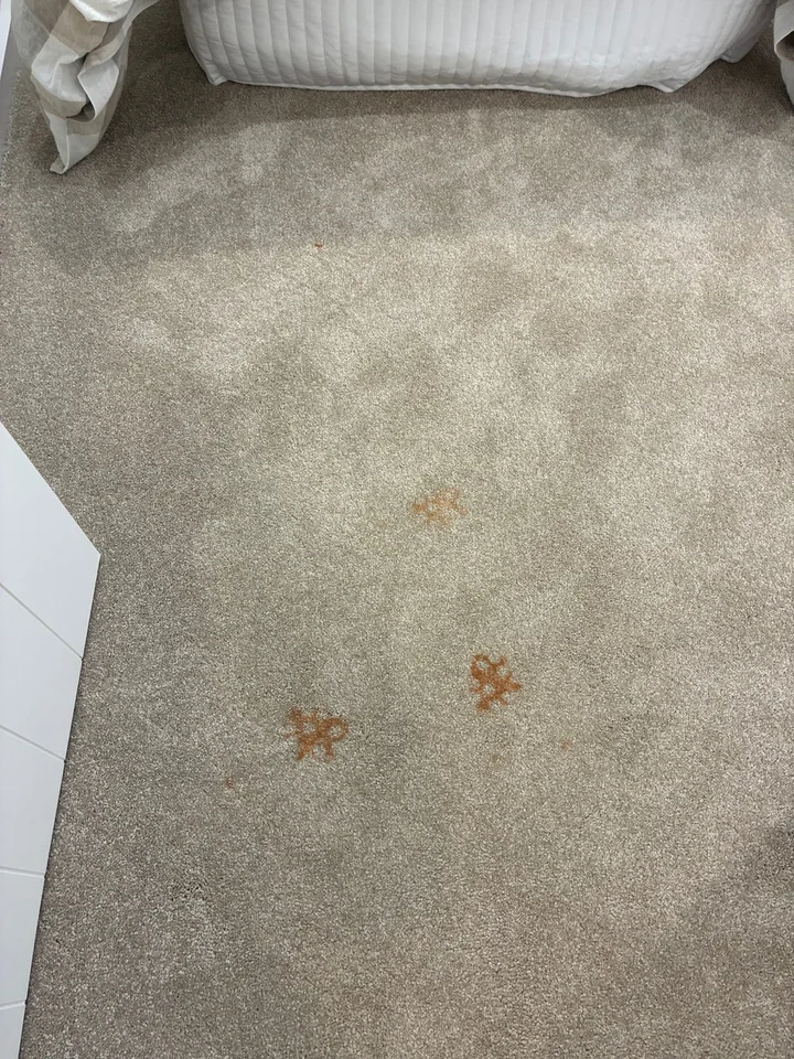 Electrodry reviews | ProductReview.com.au