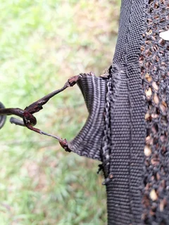 Little Nation 12ft Trampoline reviews | ProductReview.com.au