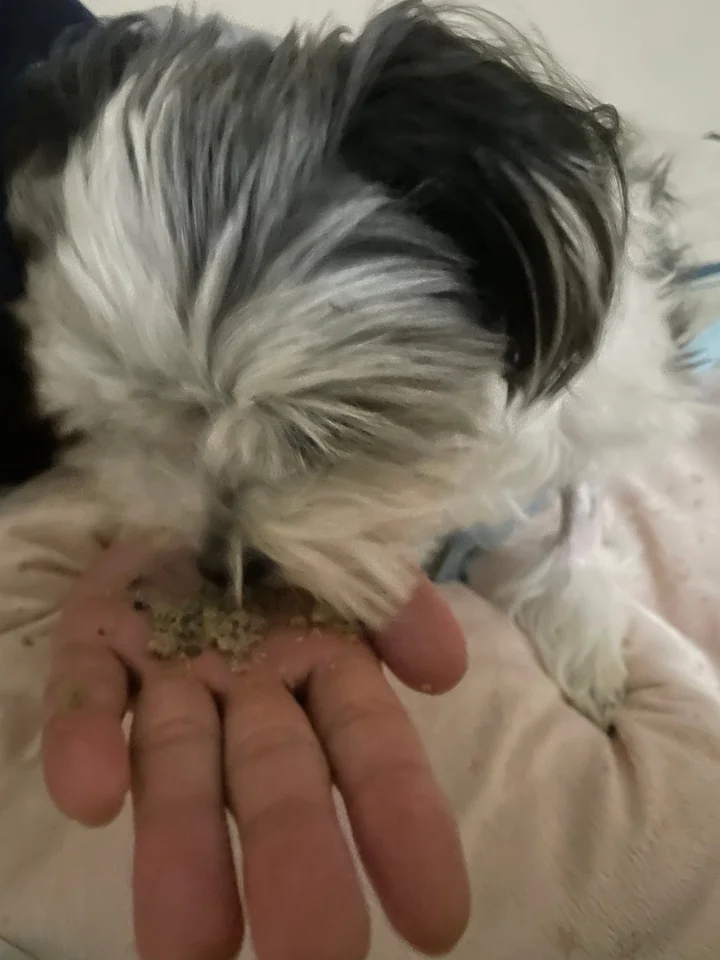 Lyka Pet Food reviews | ProductReview.com.au