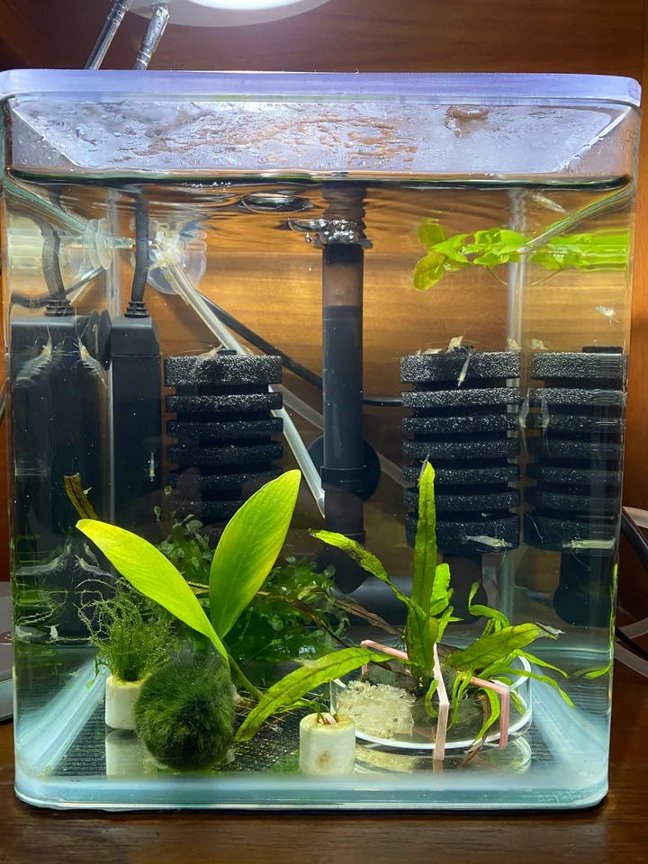 Micro Aquatic Shop reviews | ProductReview.com.au