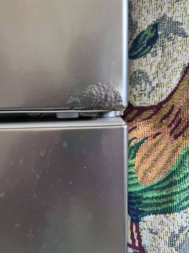 Samsung 458L Bottom Mount SRL457MW / SRL458ELS / SRL453DW Series ...