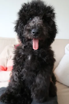 Tamaruke reviews | ProductReview.com.au