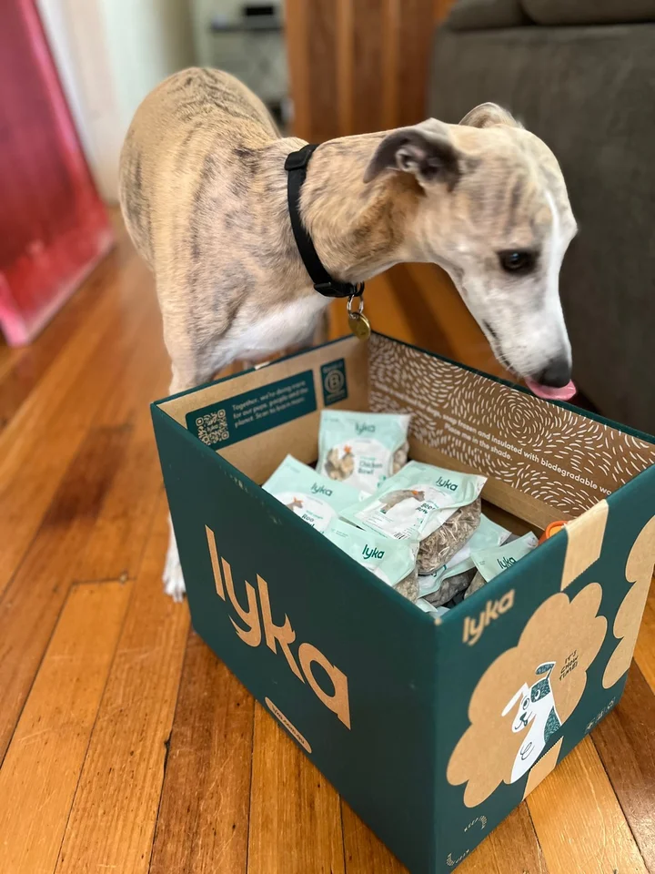 Lyka Pet Food reviews | ProductReview.com.au