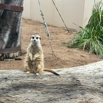 Magshop reviews | ProductReview.com.au