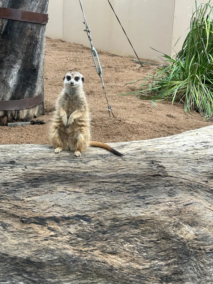 Magshop reviews | ProductReview.com.au