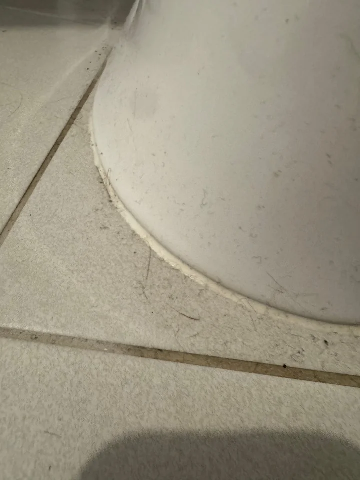 Absolute Domestics reviews | ProductReview.com.au