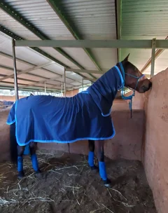 The Vet Shed reviews | ProductReview.com.au