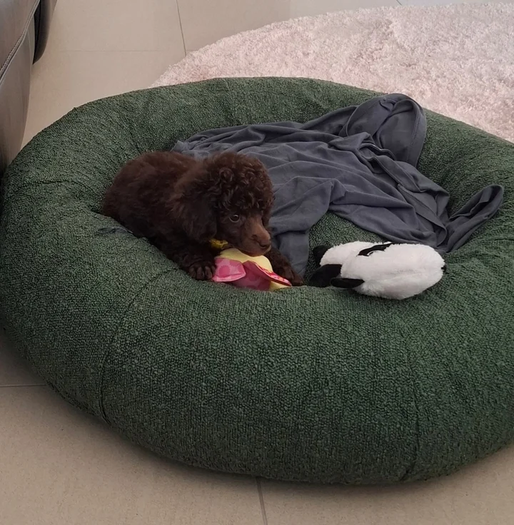 Sash Beds reviews | ProductReview.com.au