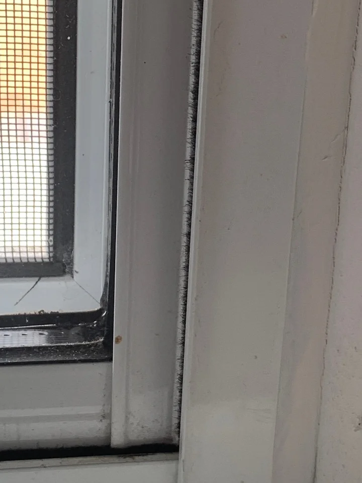 Dowell Windows reviews | ProductReview.com.au