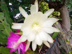 Hunter Express reviews | ProductReview.com.au