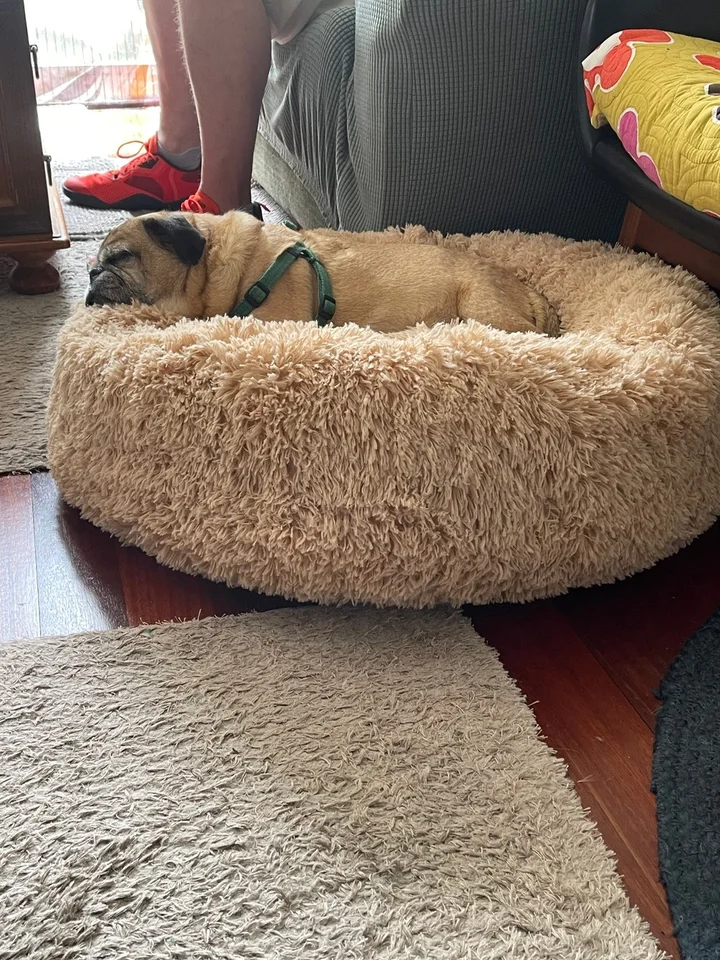 Sash Beds reviews | ProductReview.com.au