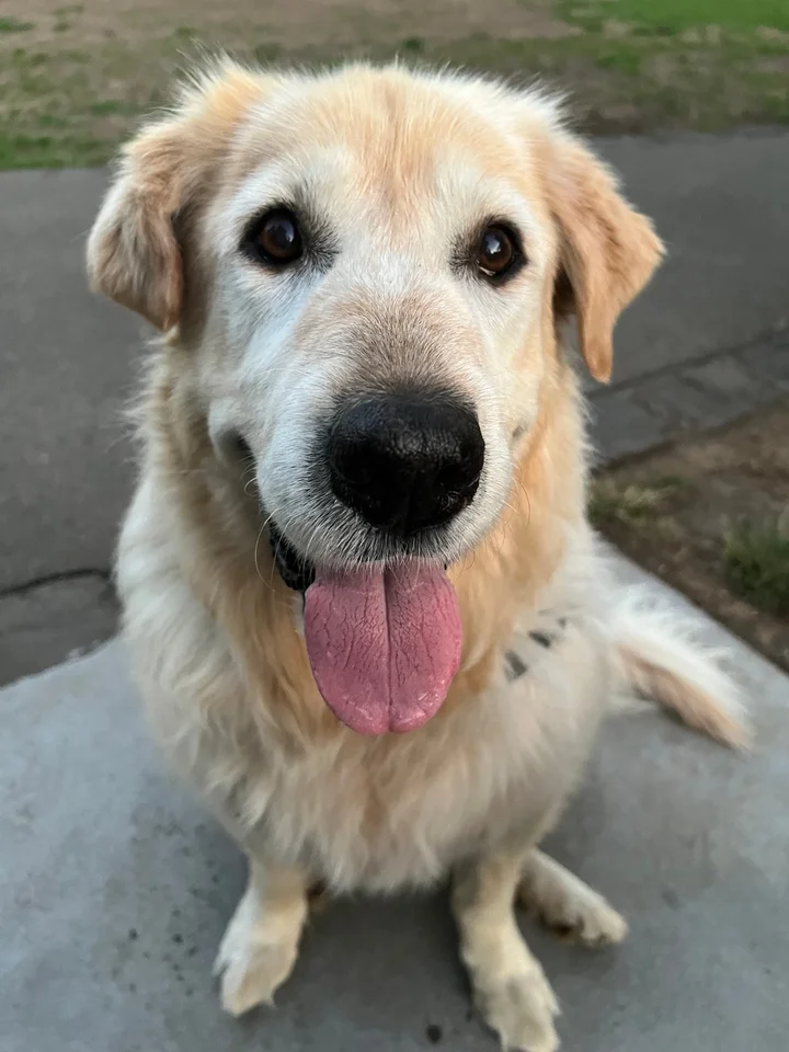 Mighty Munch reviews | ProductReview.com.au