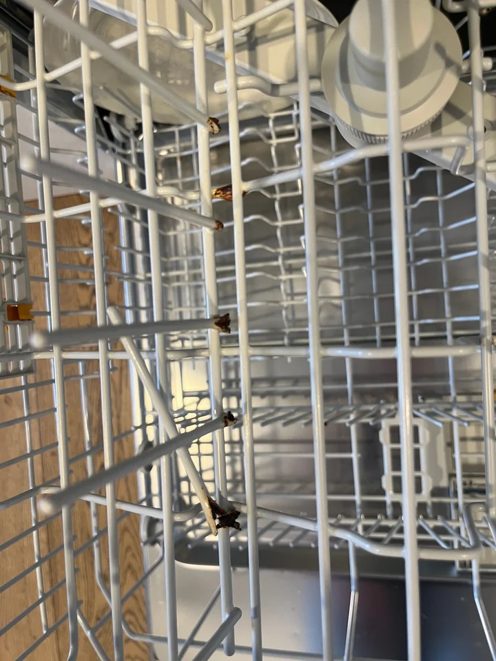 Miele G 6660 SCVi reviews | ProductReview.com.au