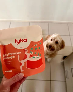 Lyka Pet Food reviews | ProductReview.com.au