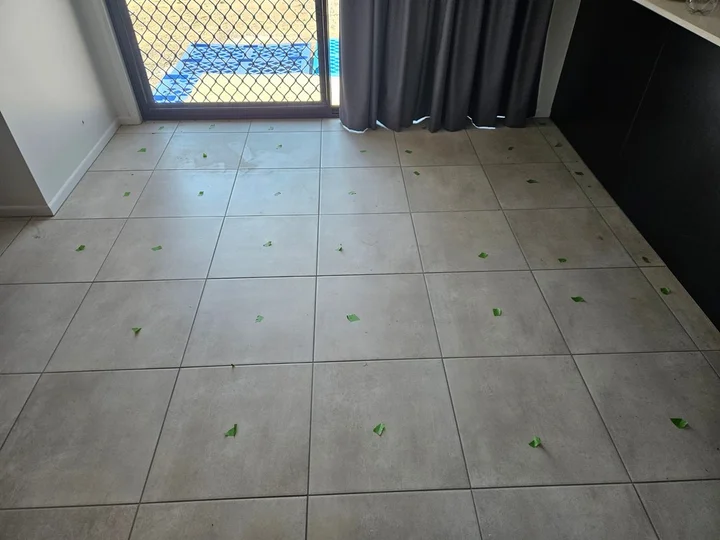 Dixon Homes reviews | ProductReview.com.au